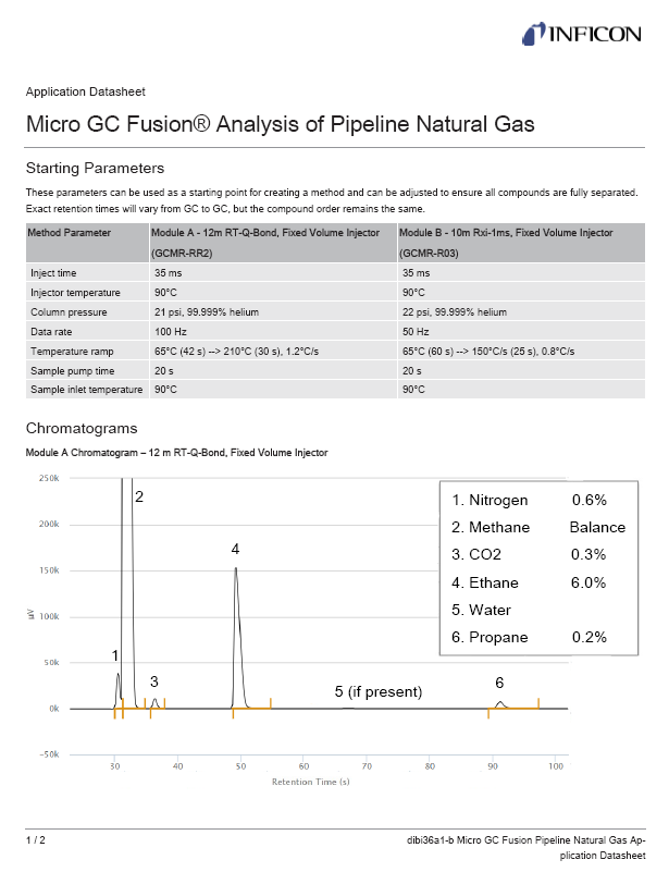 Analisi di un Gasdotto con Micro GC Fusion - Pollution